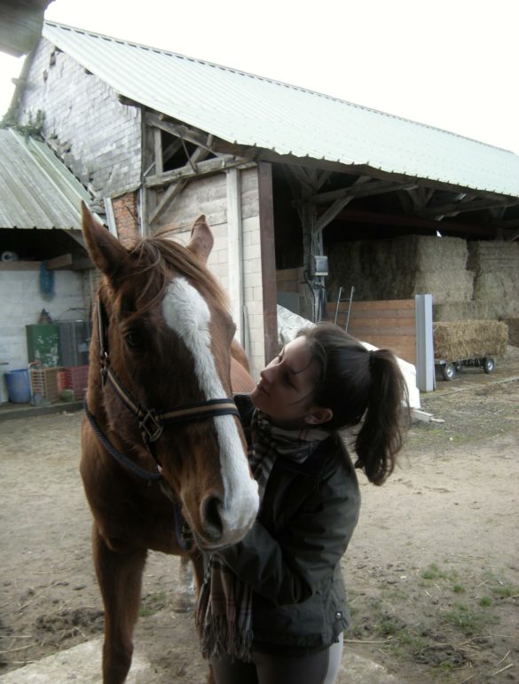 J'AI ADOPTÉ UN CHEVAL DESTINÉ À L'ABATTOIR ! - Barry la Fraise